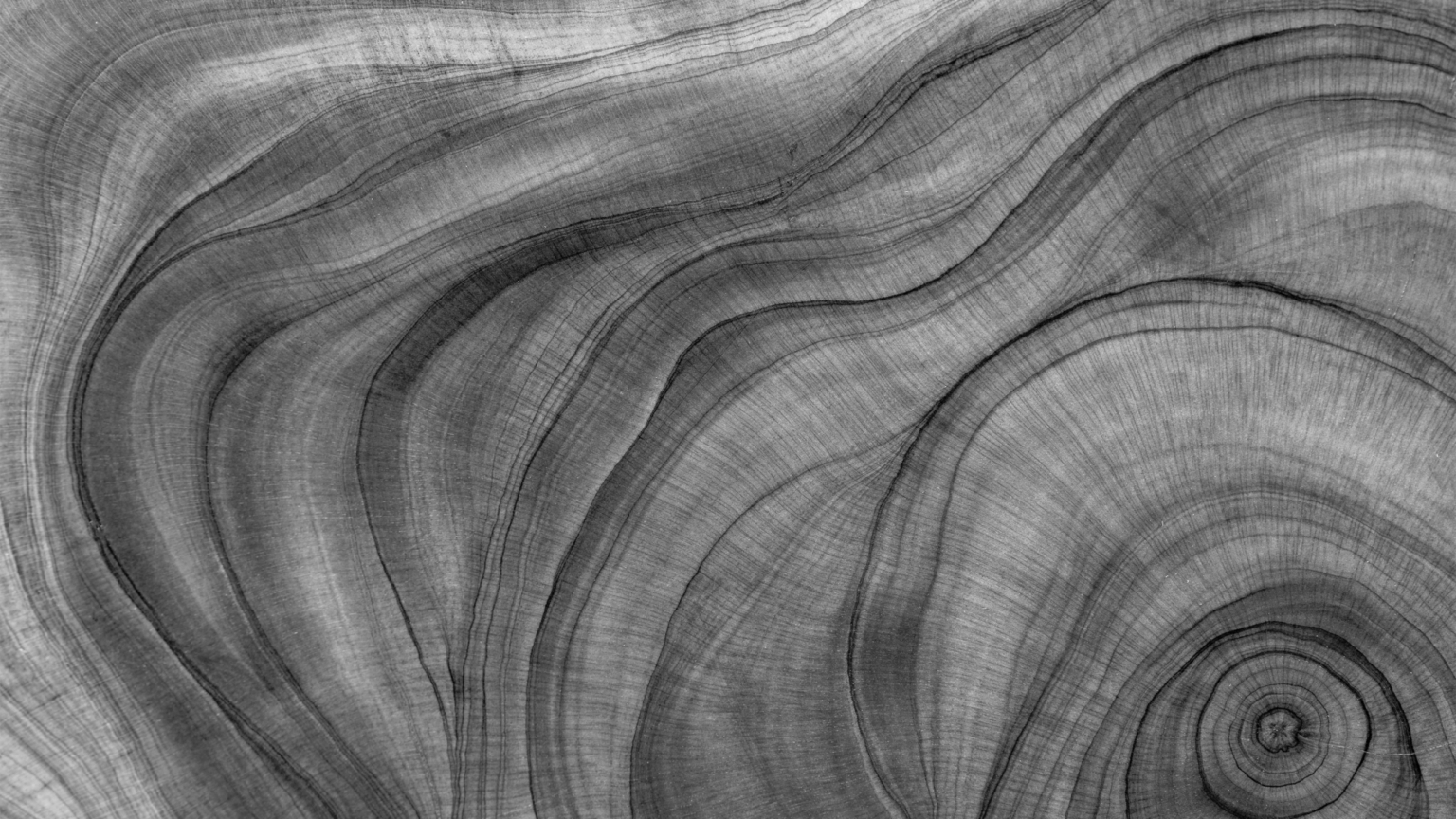 About - Operating Principles for Impact Management