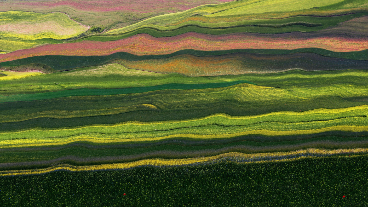 Home - Operating Principles for Impact Management