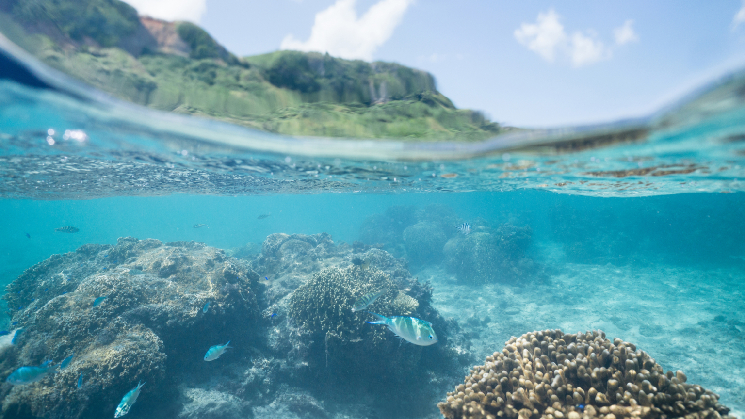 Resources - Operating Principles for Impact Management