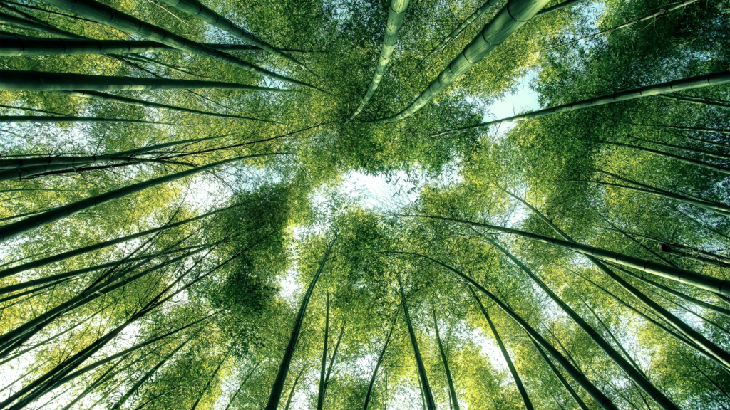 Home - Operating Principles for Impact Management