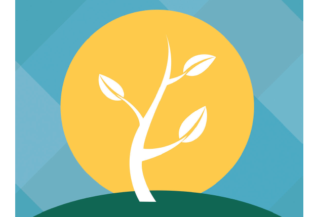 Creating Impact—The Promise of Impact Investing - Operating Principles ...