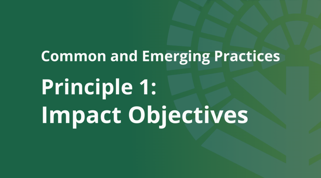 Home - Operating Principles for Impact Management